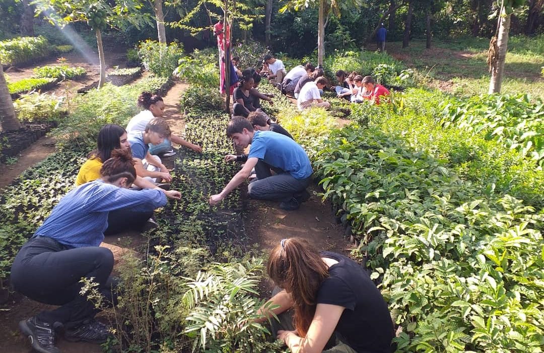 Environmental Conservation & Farming Programs - Volunteer Abroad